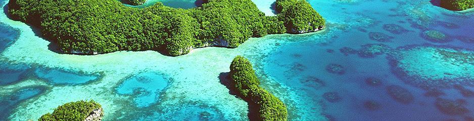 National Pool Lifeguard Qualification (NPLQ 10) Renewal at 14/12/2023