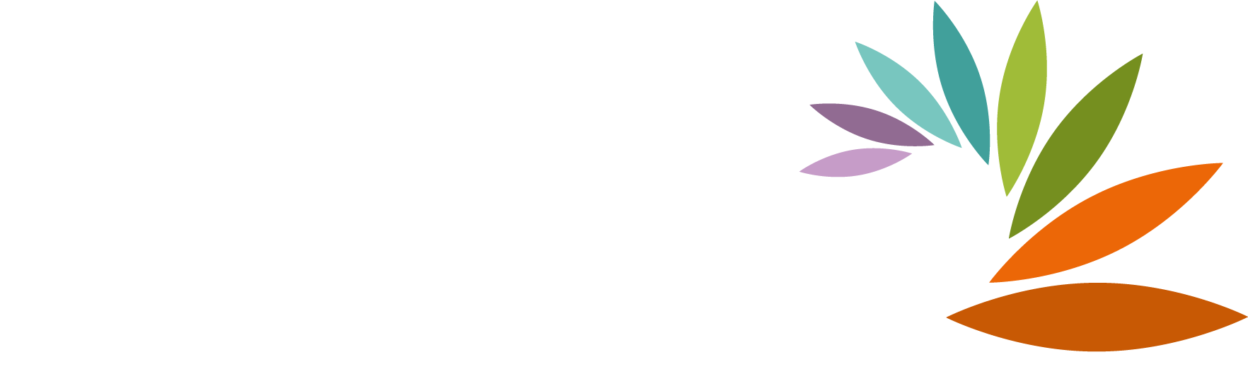 National Pool Lifeguard Qualification (NPLQ 10) Renewal at 07/07/2024